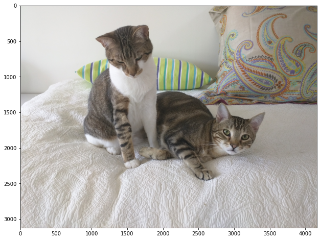 The Magic of Principal Component Analysis through Image Compression