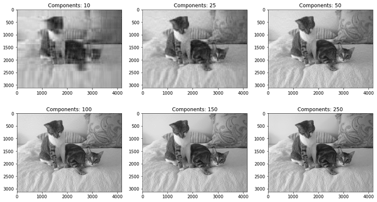 The Magic of Principal Component Analysis through Image Compression